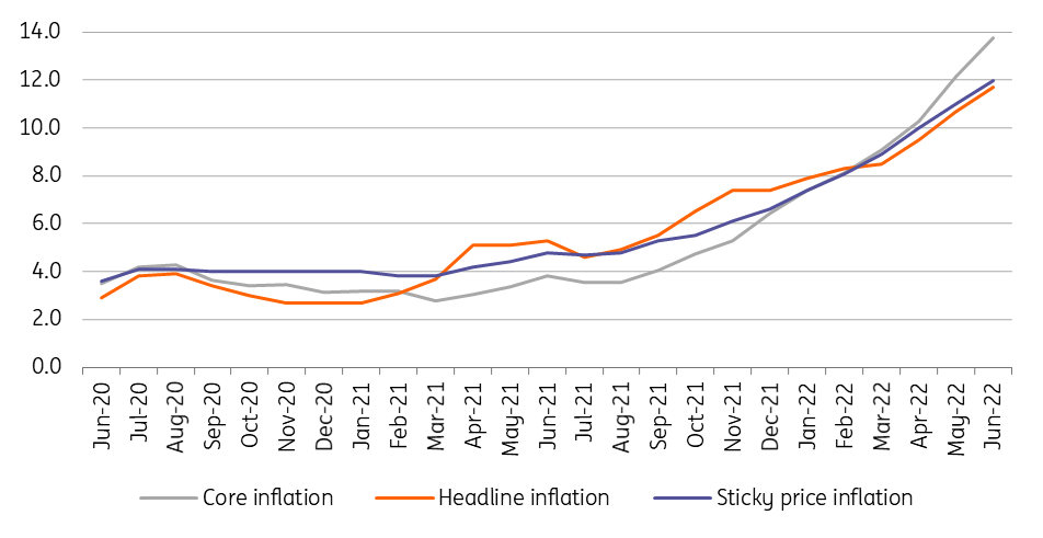Hungarian inflation hits 24-year high and shows no sign of slowing ...