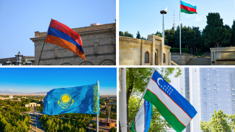 CIS-4: Domestic resilience leads to softer rates outlook | articles ...